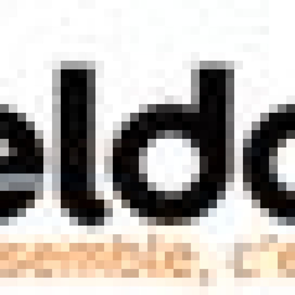 Weldom FR | Synergee